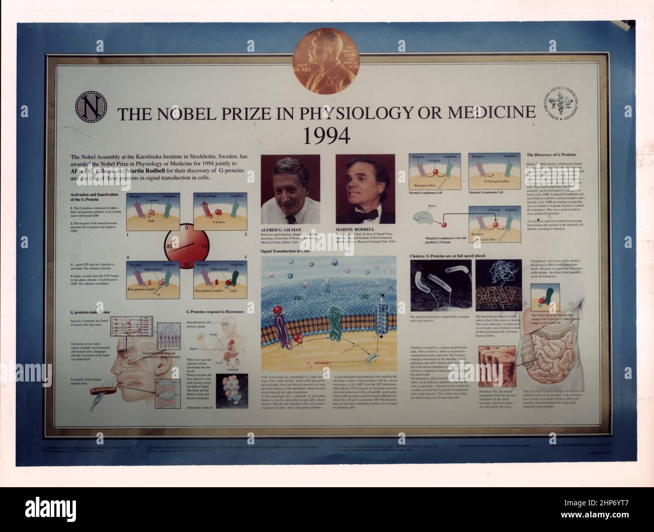 The 1994 Nobel Prize in Physiology or Medicine poster ca. 1994 Stock ...