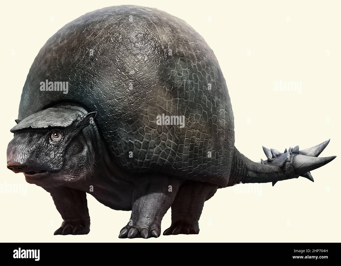 Pleistocene to holocene hi-res stock photography and images - Alamy