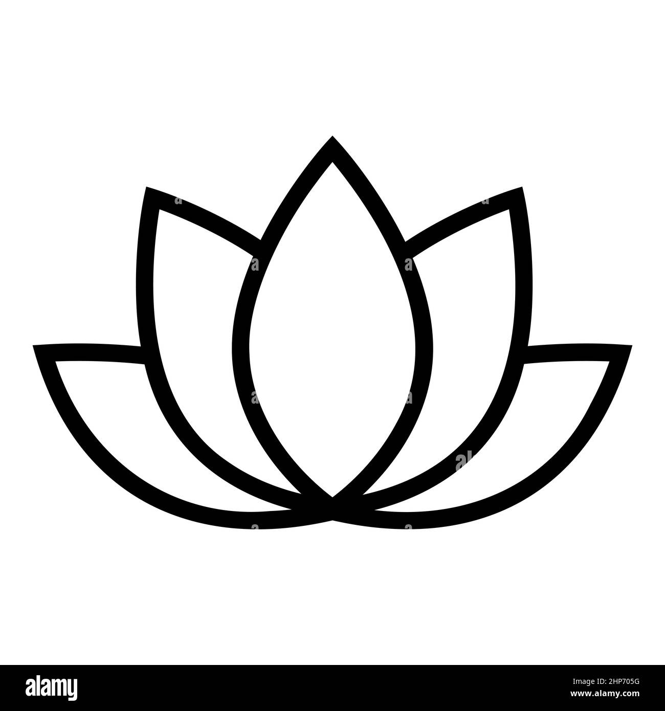 Lotus Outline