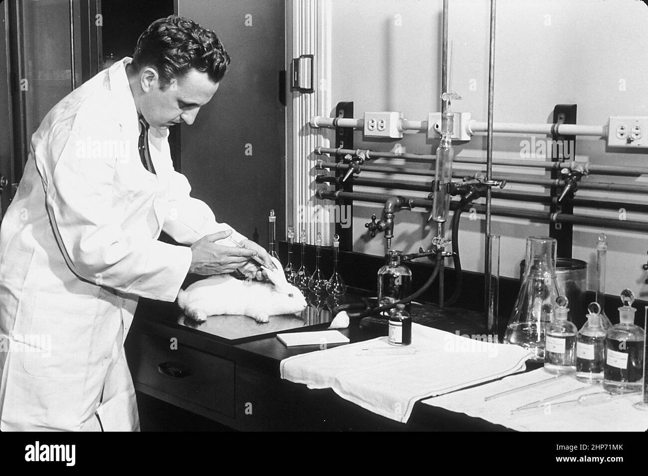 Rabbit in research lab Black and White Stock Photos & Images - Alamy