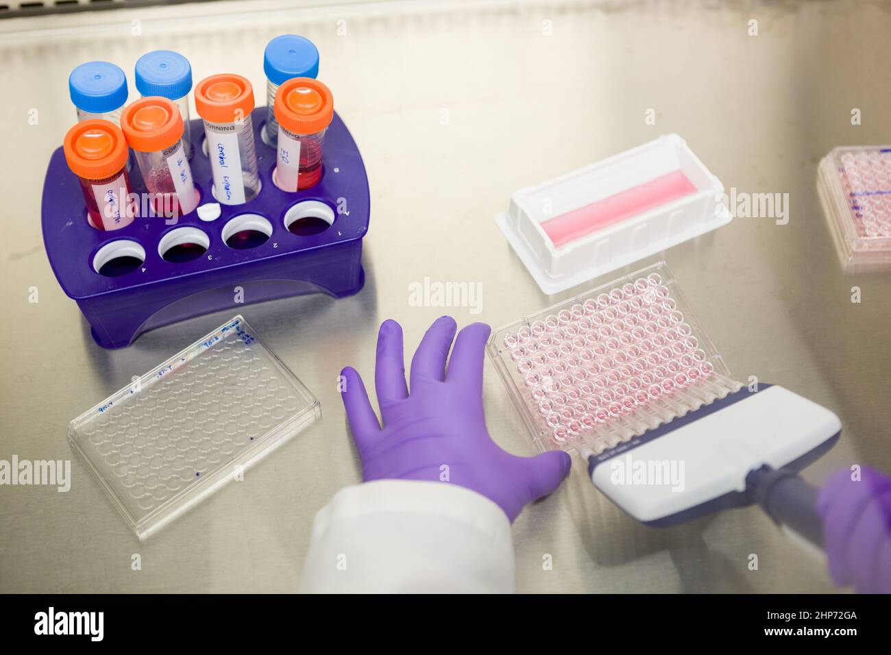 A researcher works with induced pluripotent stem cells in NCATS' Stem ...