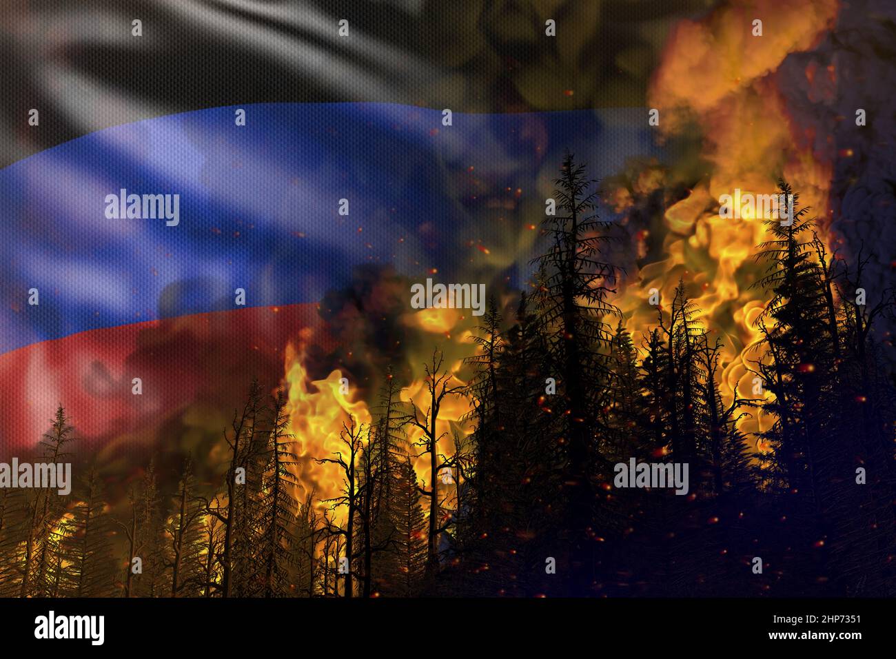 Forest fire natural disaster concept - heavy fire in the woods on ...