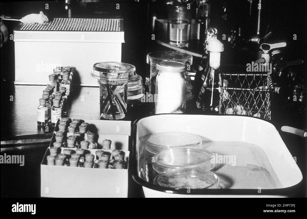 Fda laboratory hi-res stock photography and images - Alamy