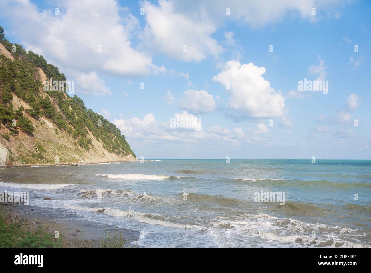 Cliff on the seashore. Coniferous trees grow on hill. Summer blue sky ...