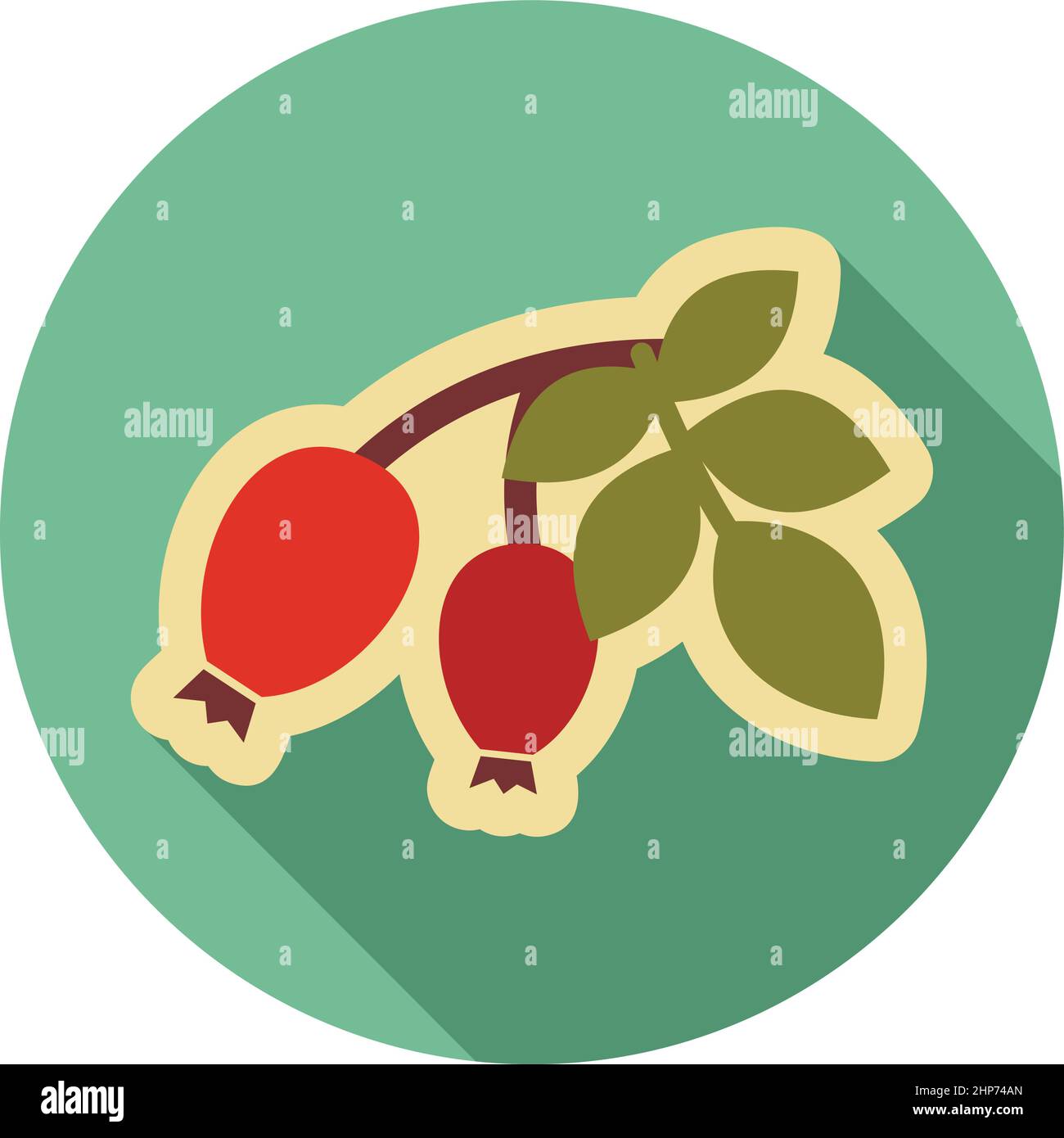 Rosehip fruit icon Stock Vector Image & Art - Alamy