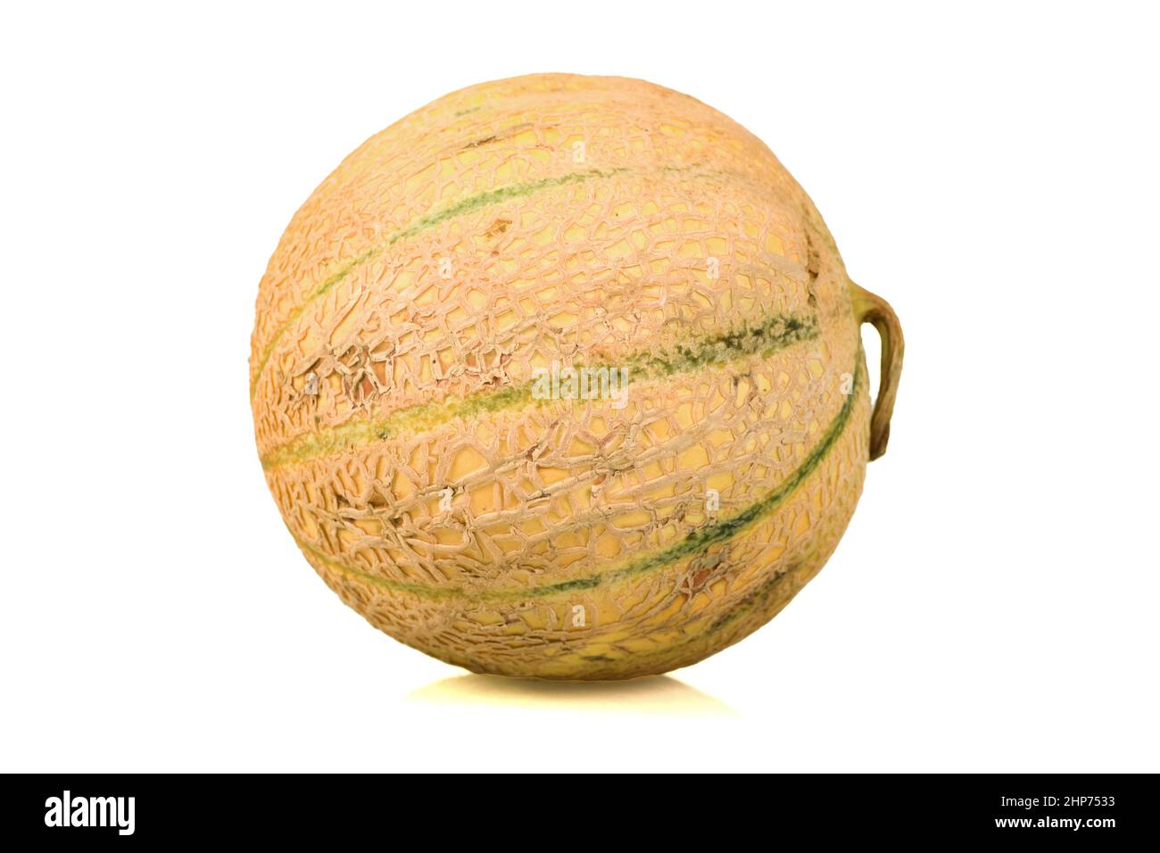 View on a melon on white background in studio Stock Photo - Alamy