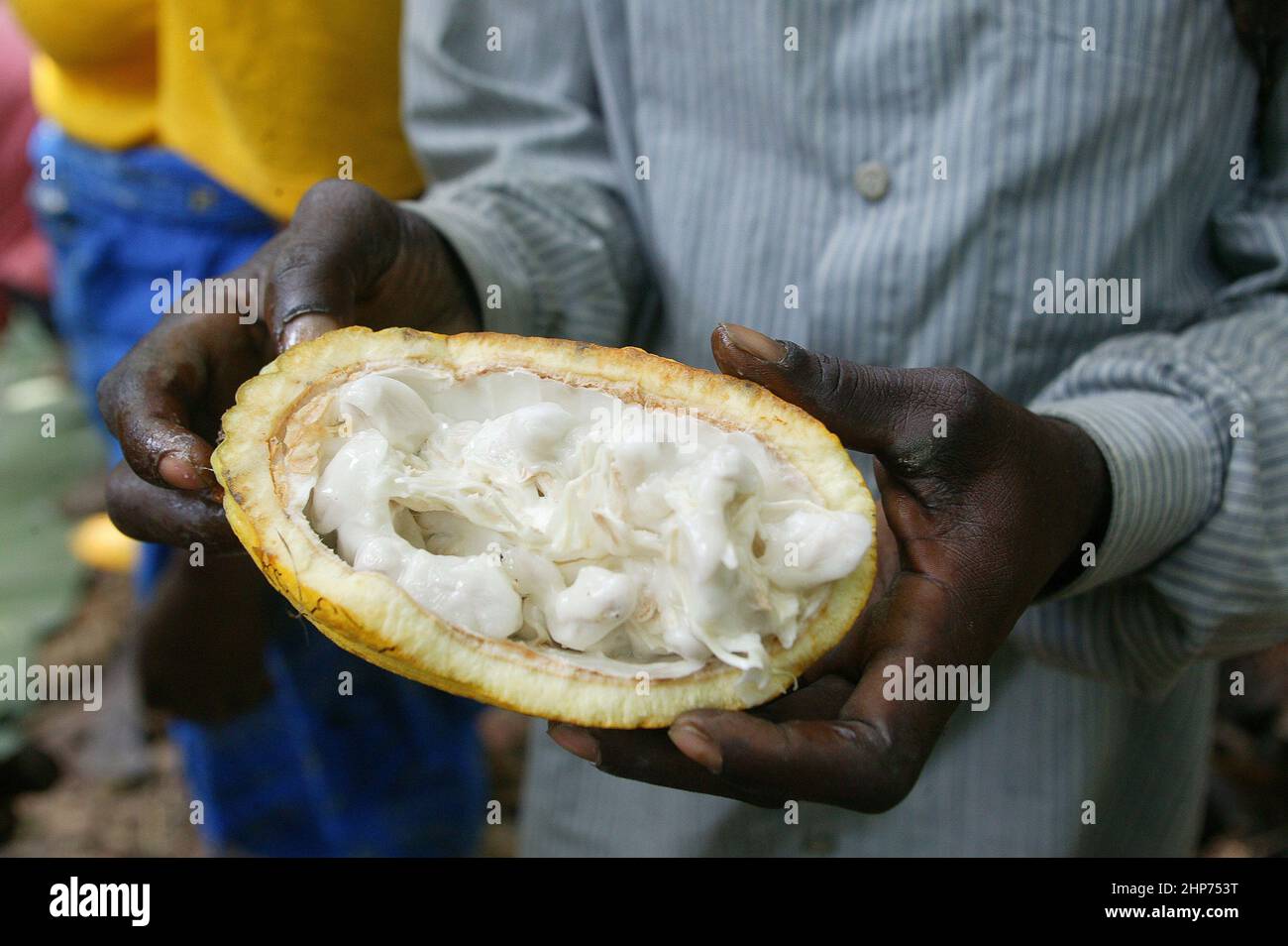 Colourful close up cocoa beans hi-res stock photography and images - Alamy