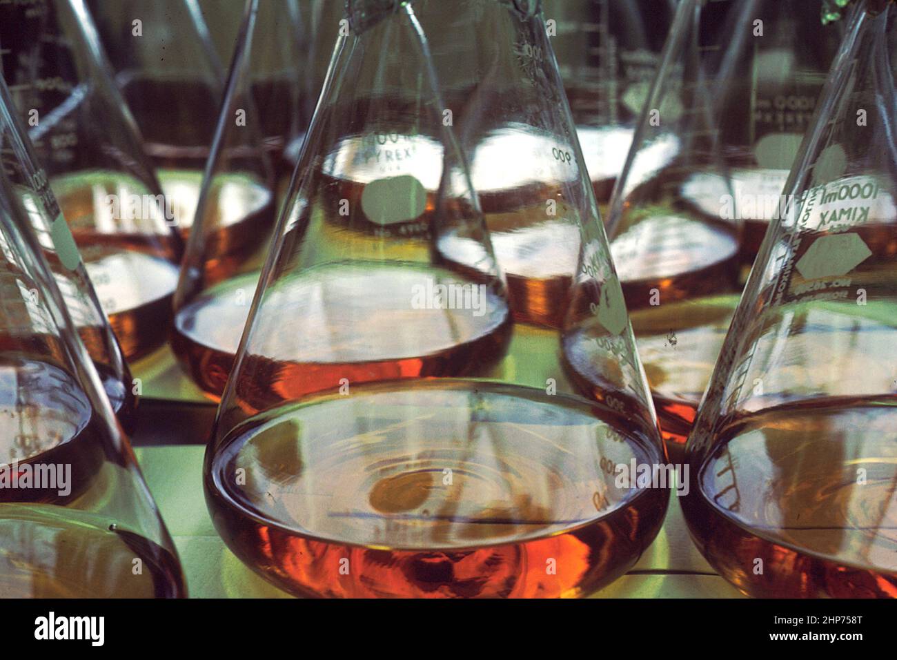 Laboratory flasks. Recently scientists have learned to make interferon ...