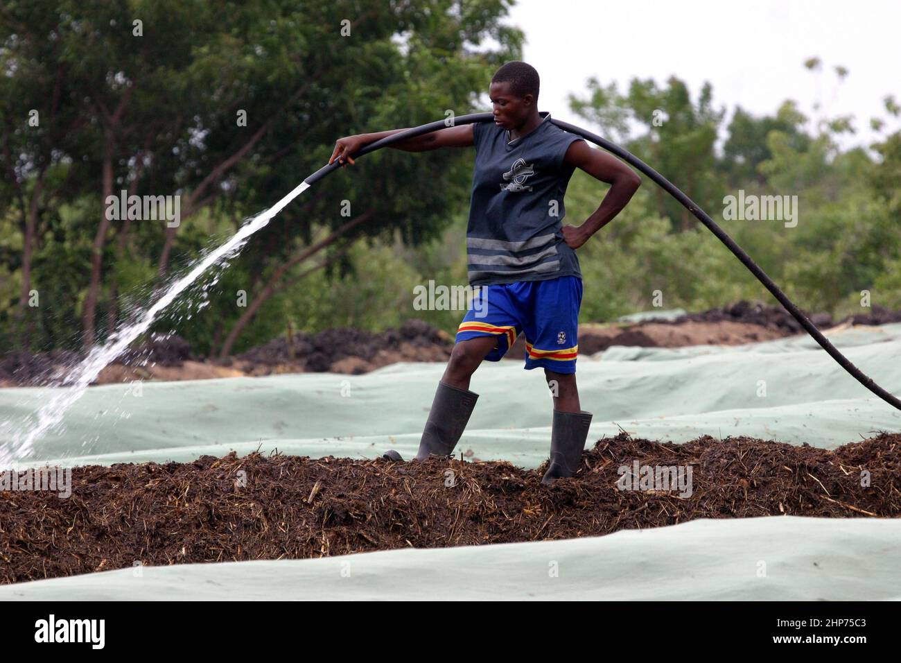 Man with hose Ghana Africa Stock Photo - Alamy