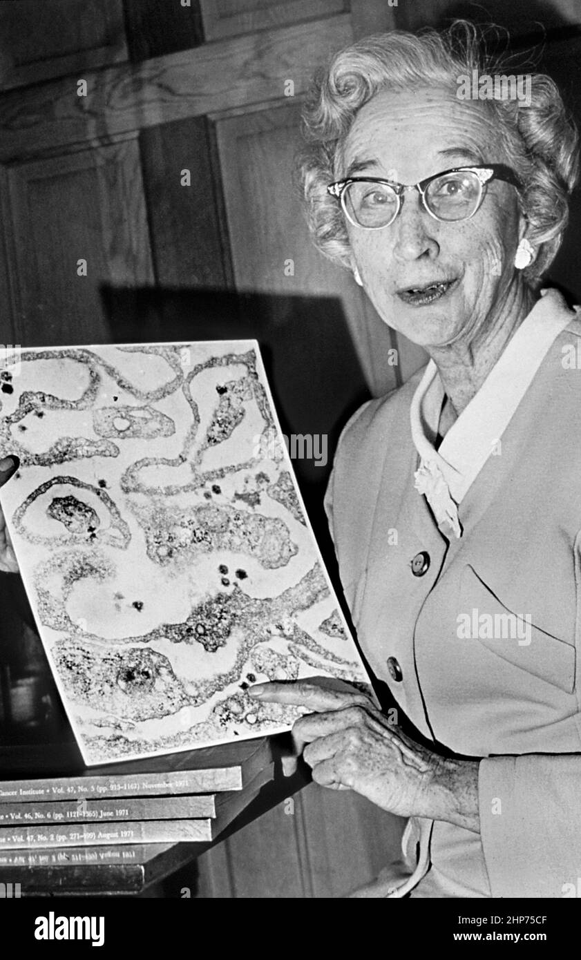 Photo of Sarah Stewart. Ms. Stewart was the first to demonstrate virus ...