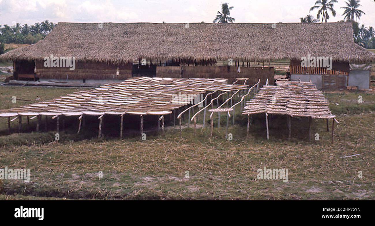 Rice cake factory hi-res stock photography and images - Alamy