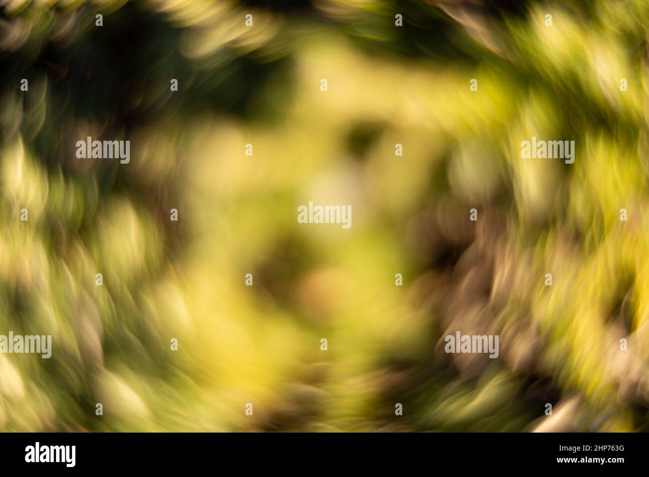 green abstract background with rotating circular shapes Stock Photo - Alamy