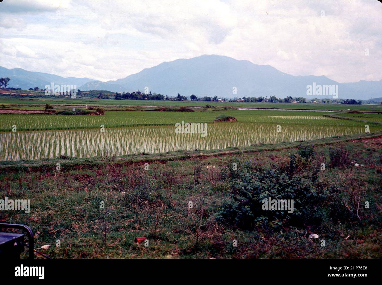 Vietnam War Photos: Rice paddies outside a local MEDCAP in Vietnam ...
