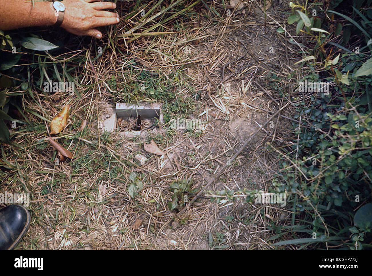 Bullet firing device hi-res stock photography and images - Alamy