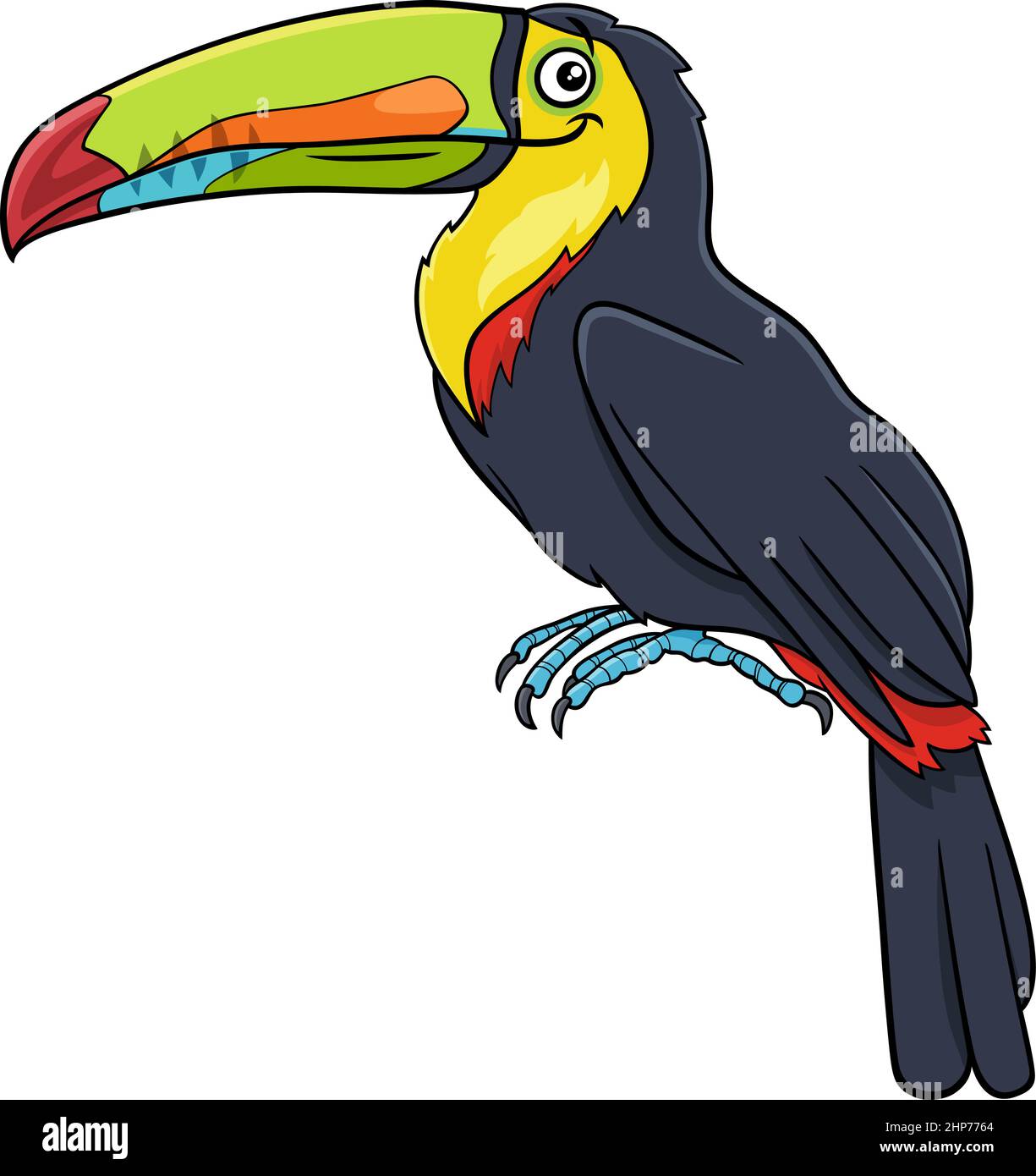 toucan bird animal character cartoon illustration Stock Vector Image ...