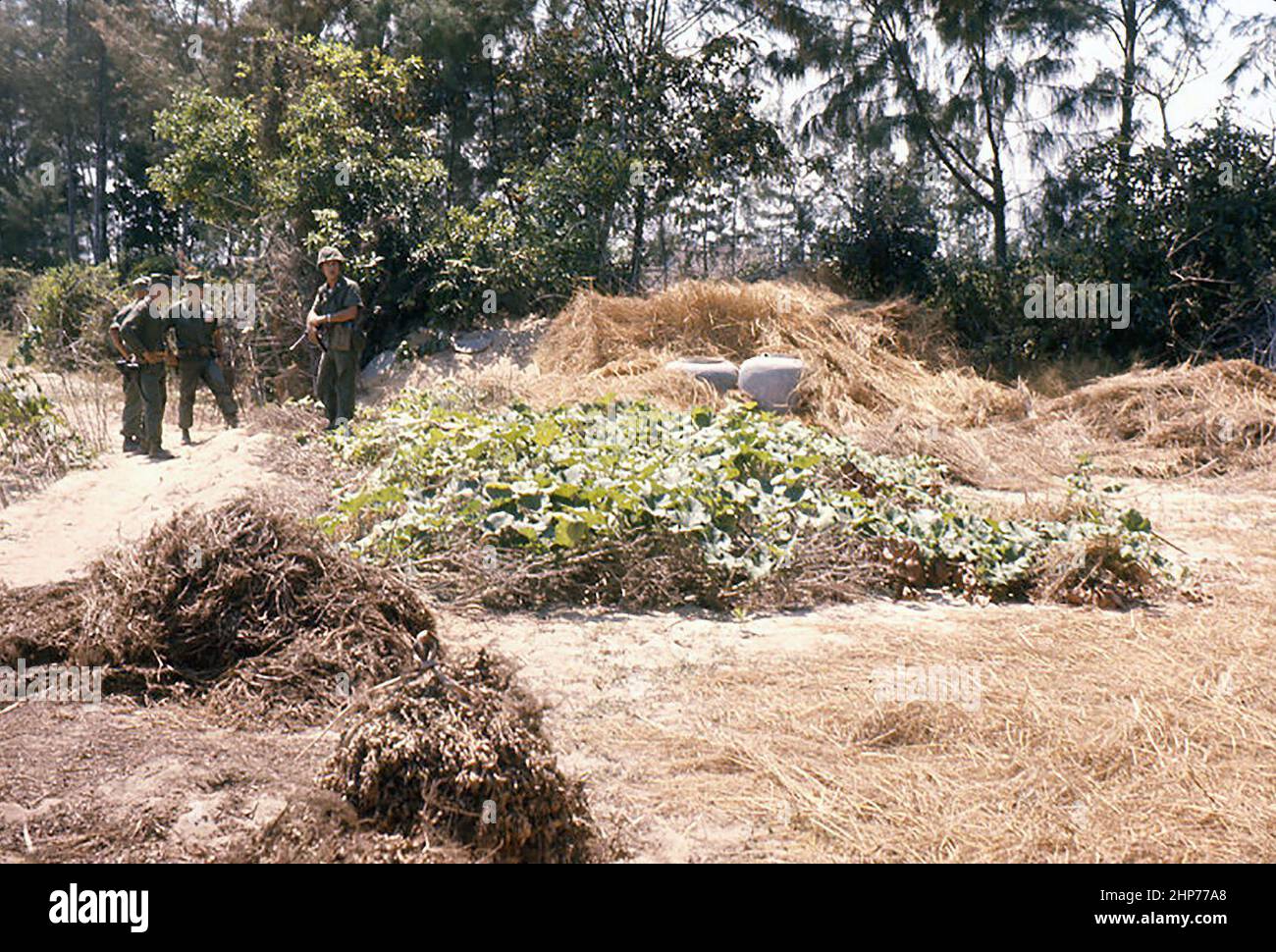 Rice cache hi-res stock photography and images - Alamy