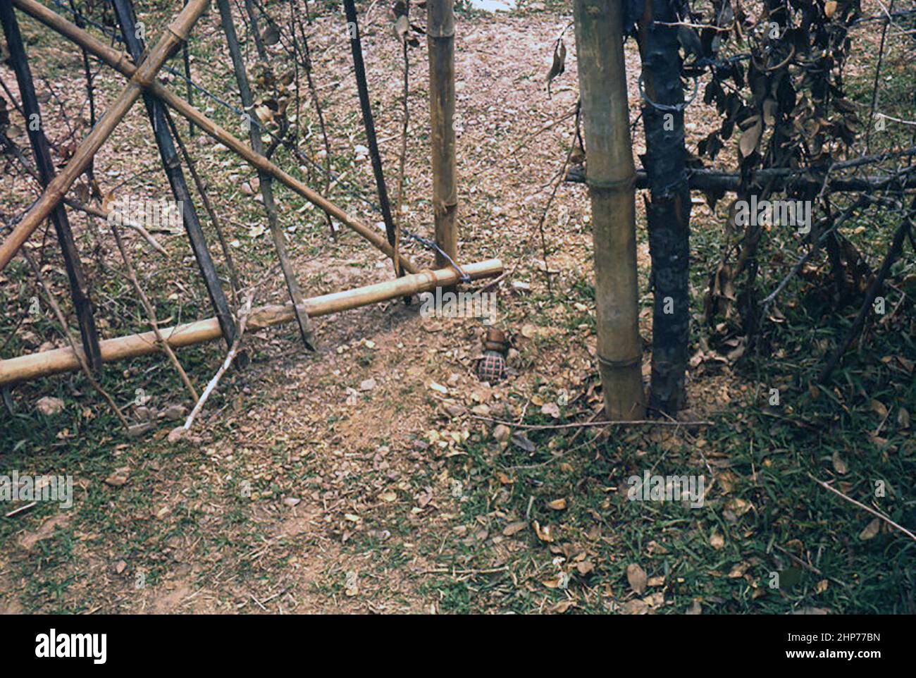 A Viet Cong hand grenade with a pull friction firing device installed ...