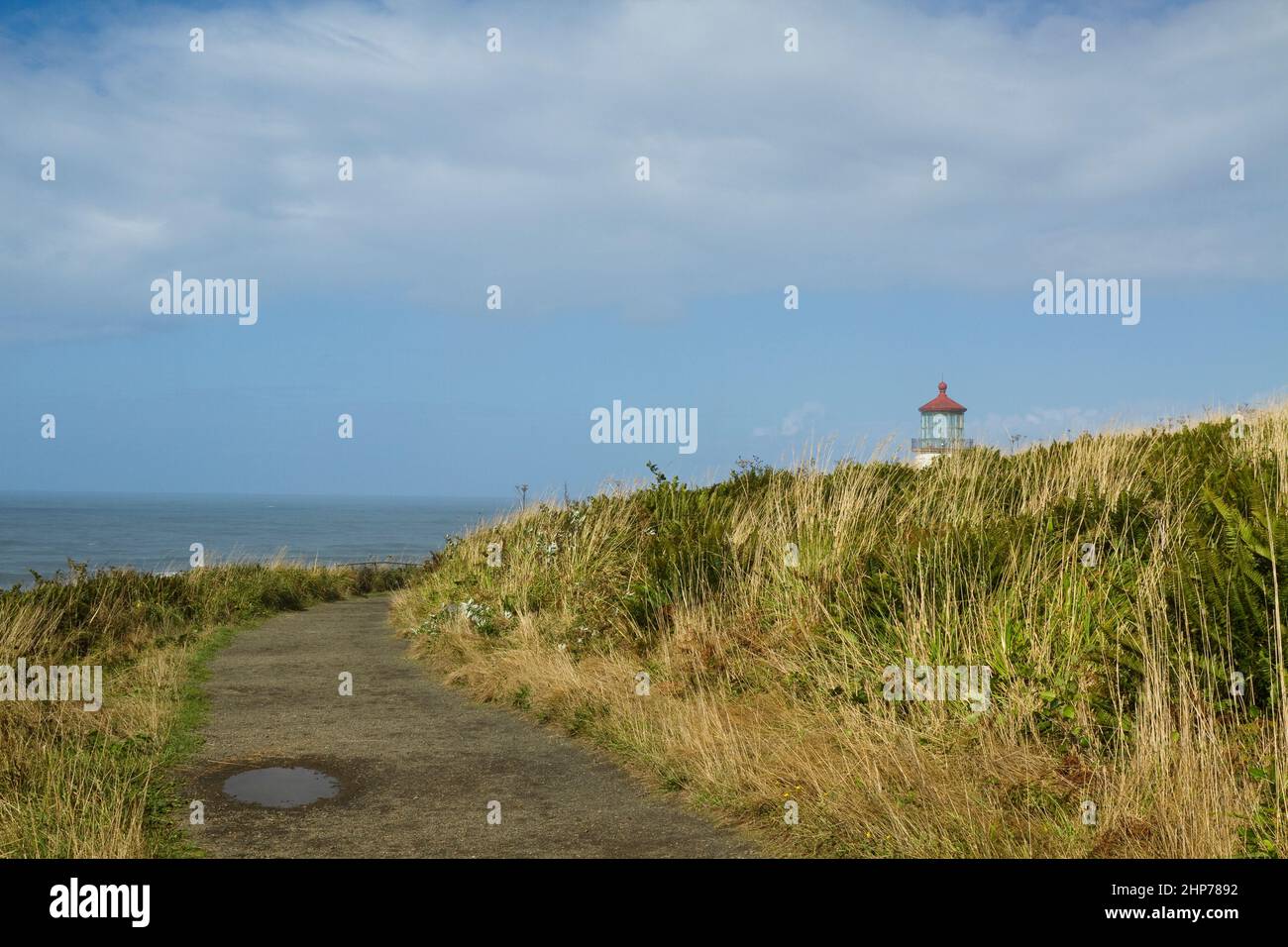 Trail Leading To North Head Lighthouse Along The Pacific Ocean Stock ...