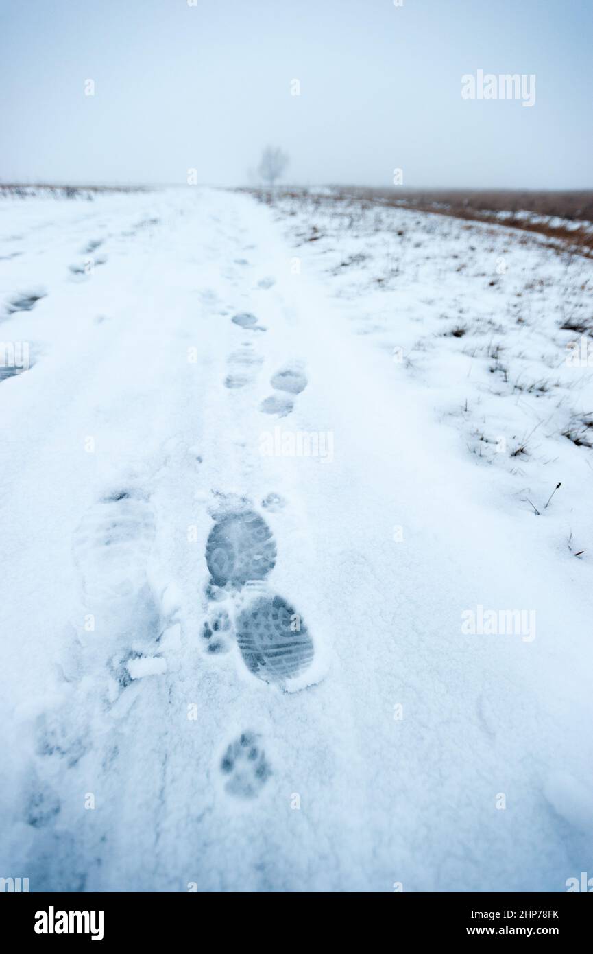 Human traces on the snow Stock Photo - Alamy