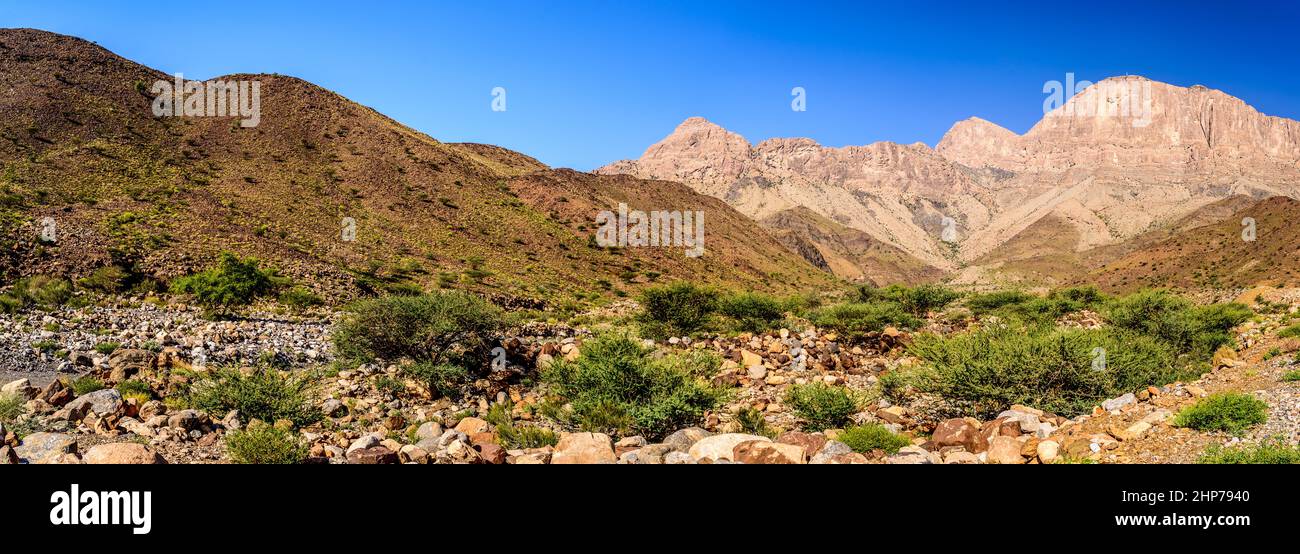 Wadi ghul oasis hi-res stock photography and images - Alamy
