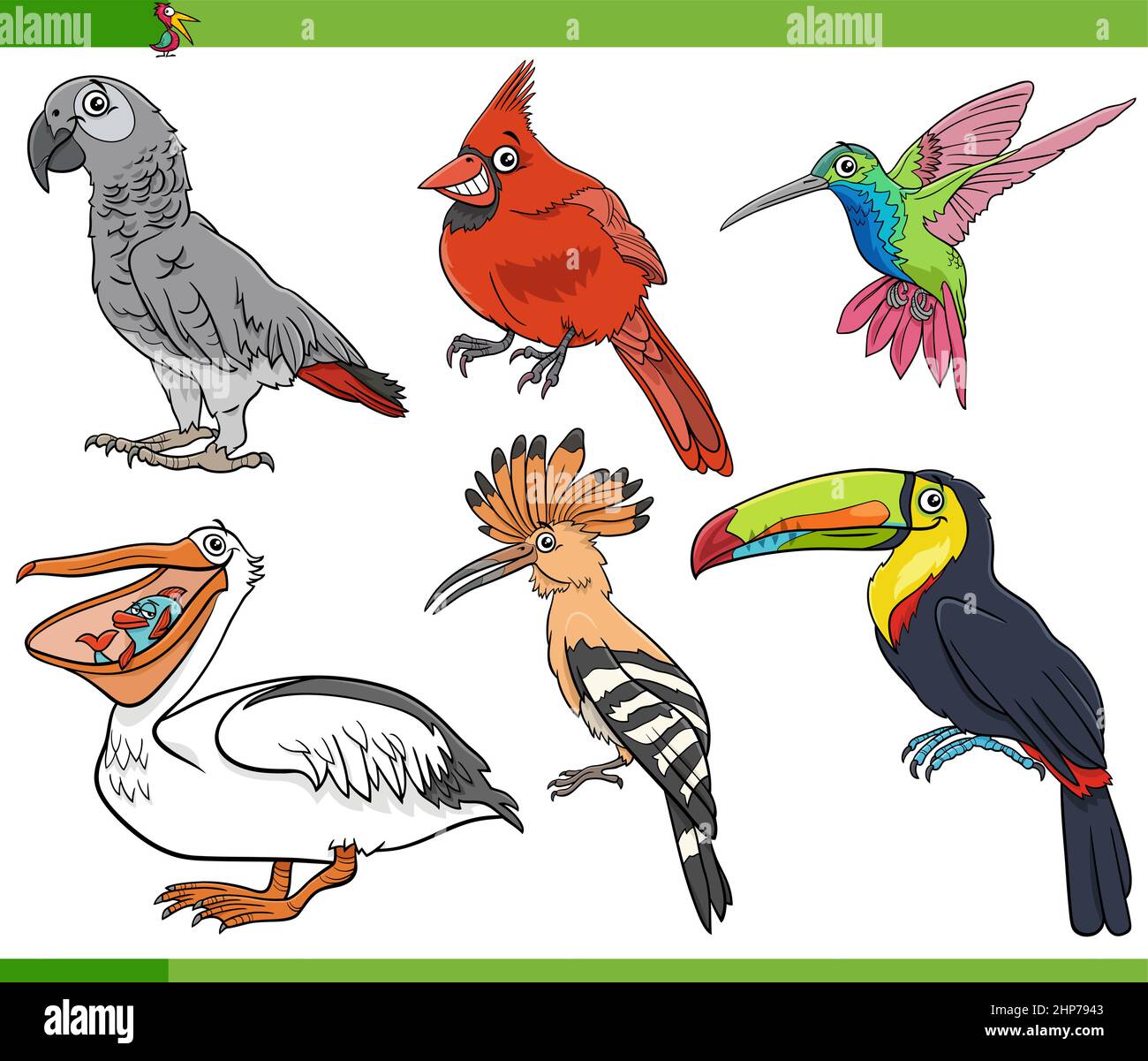 cartoon birds species animal characters set Stock Vector Image & Art ...