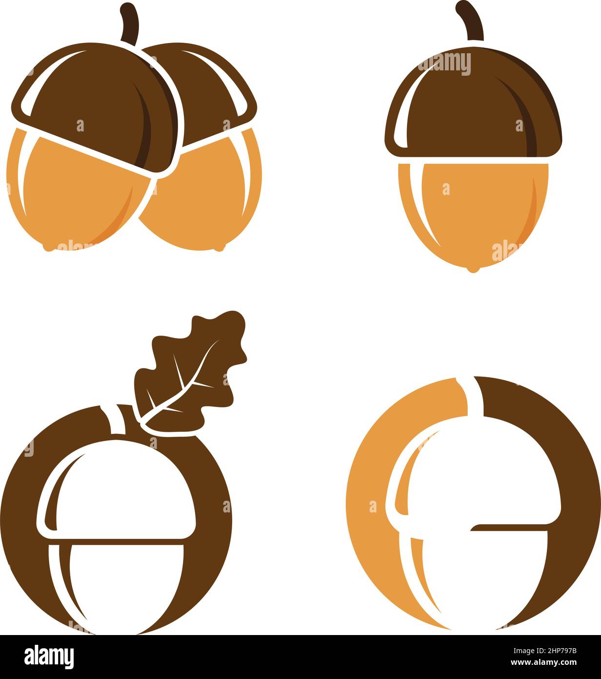 oak acorn vector illustration design Stock Vector Image & Art - Alamy