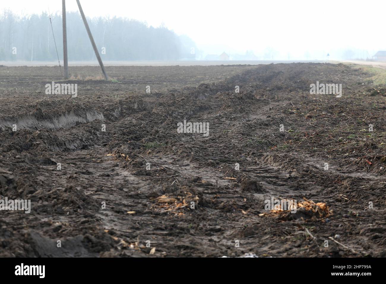 Tractor tracks on wet ground. Damaged fields cultivated by farmers ...