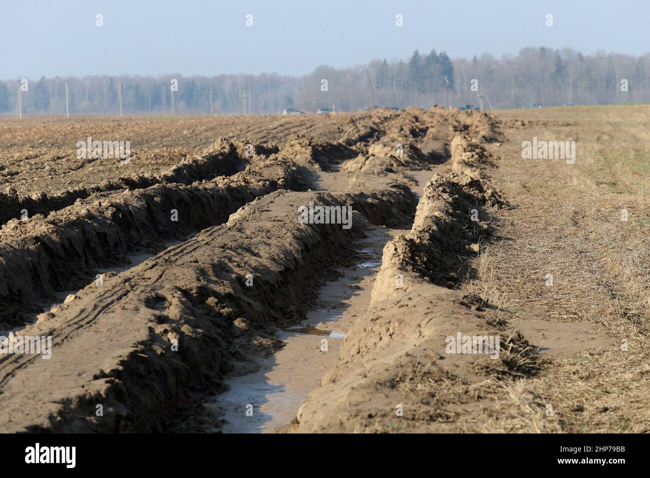 Tractor tracks on wet ground. Damaged fields cultivated by farmers ...