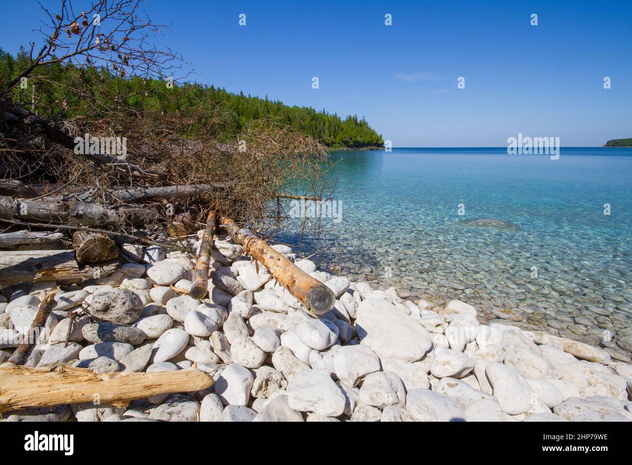 aqua, water, lake, lakeside, wilderness, lakeshore, clear, clean ...
