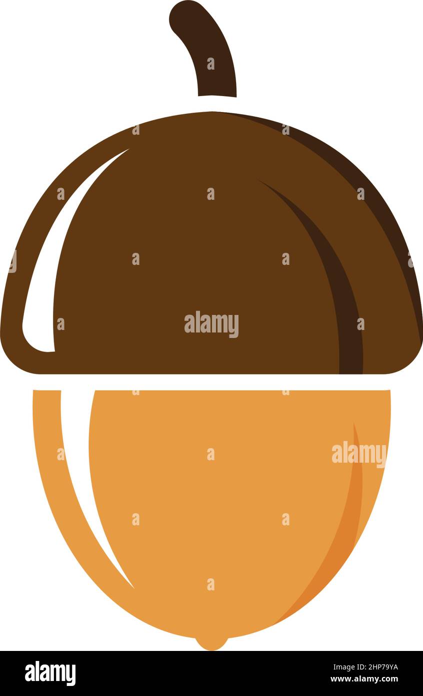 Oak branch leaves acorns Stock Vector Images - Alamy