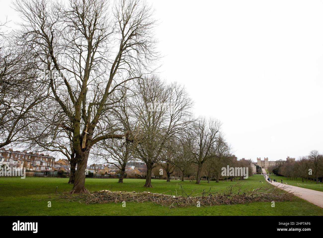 Windsor, UK. 19th February, 2022. Members of the public pass trees ...