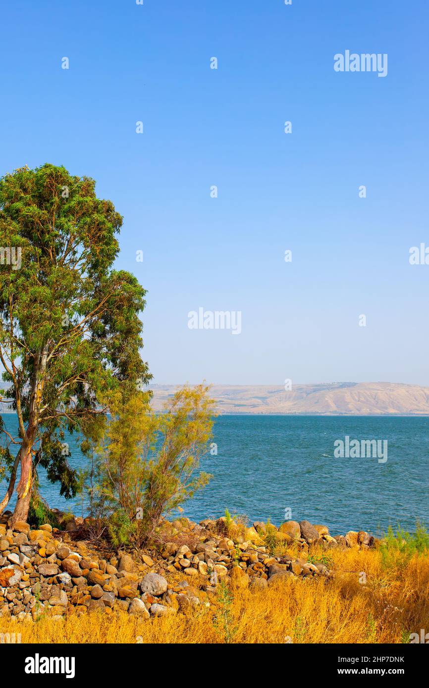 View of the Sea of Galilee (Lake Tiberius), Israel. Landscape Stock ...
