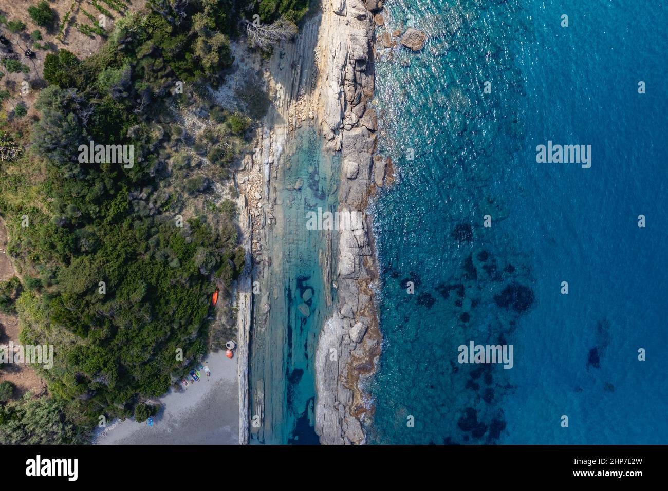 Meliteieis hi-res stock photography and images - Alamy