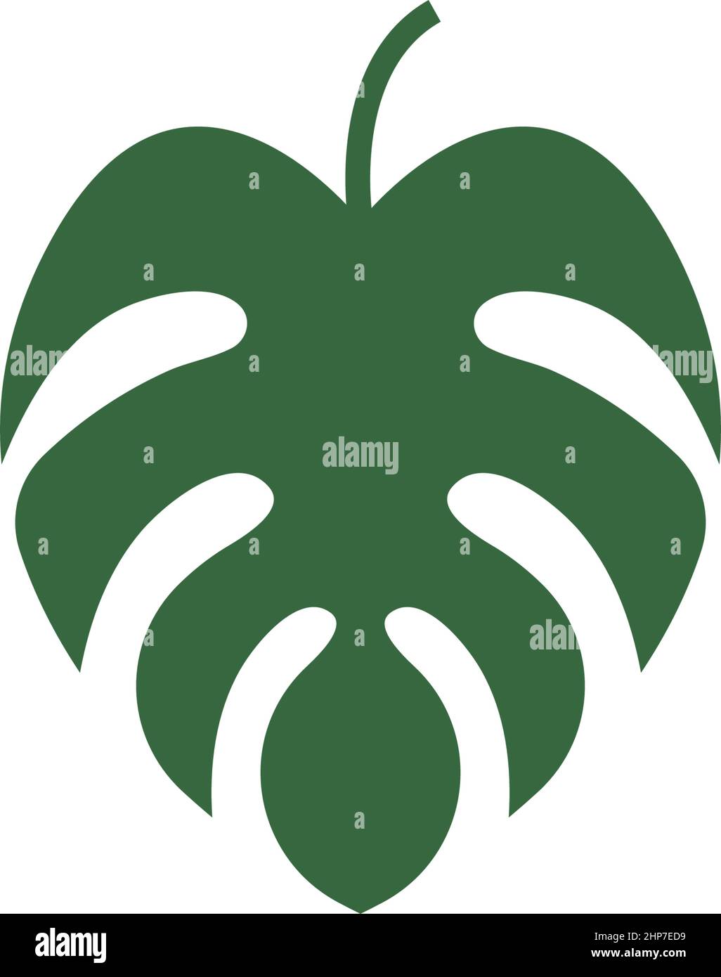 Illustration monstera palm leaf Stock Vector Images - Alamy