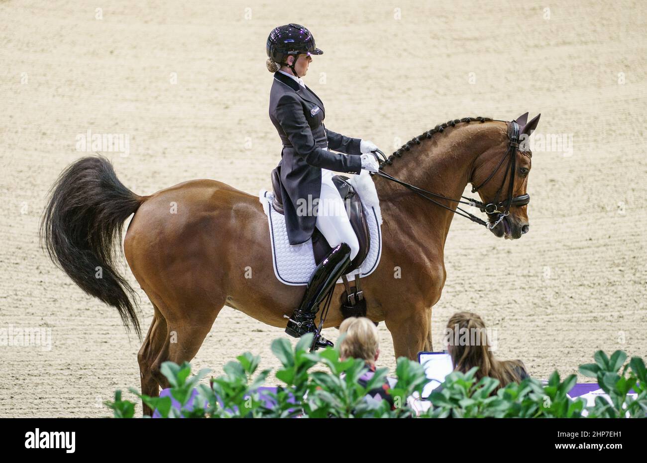 Neumünster, Germany. 19 February 2022, Equestrian Sport/Dressage: World ...