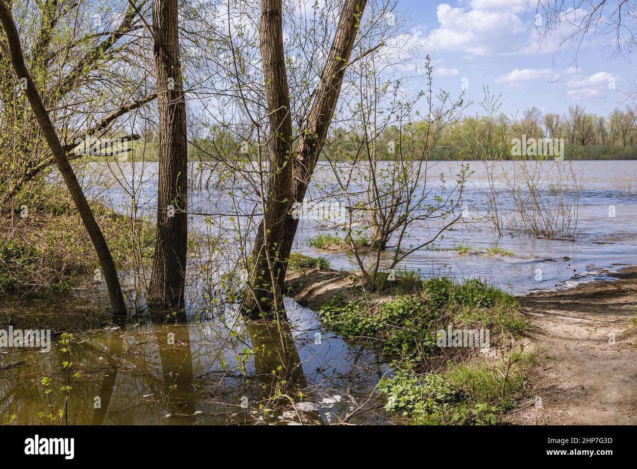 Raised water level of the Vistula River in Siekierki area of Warsaw ...