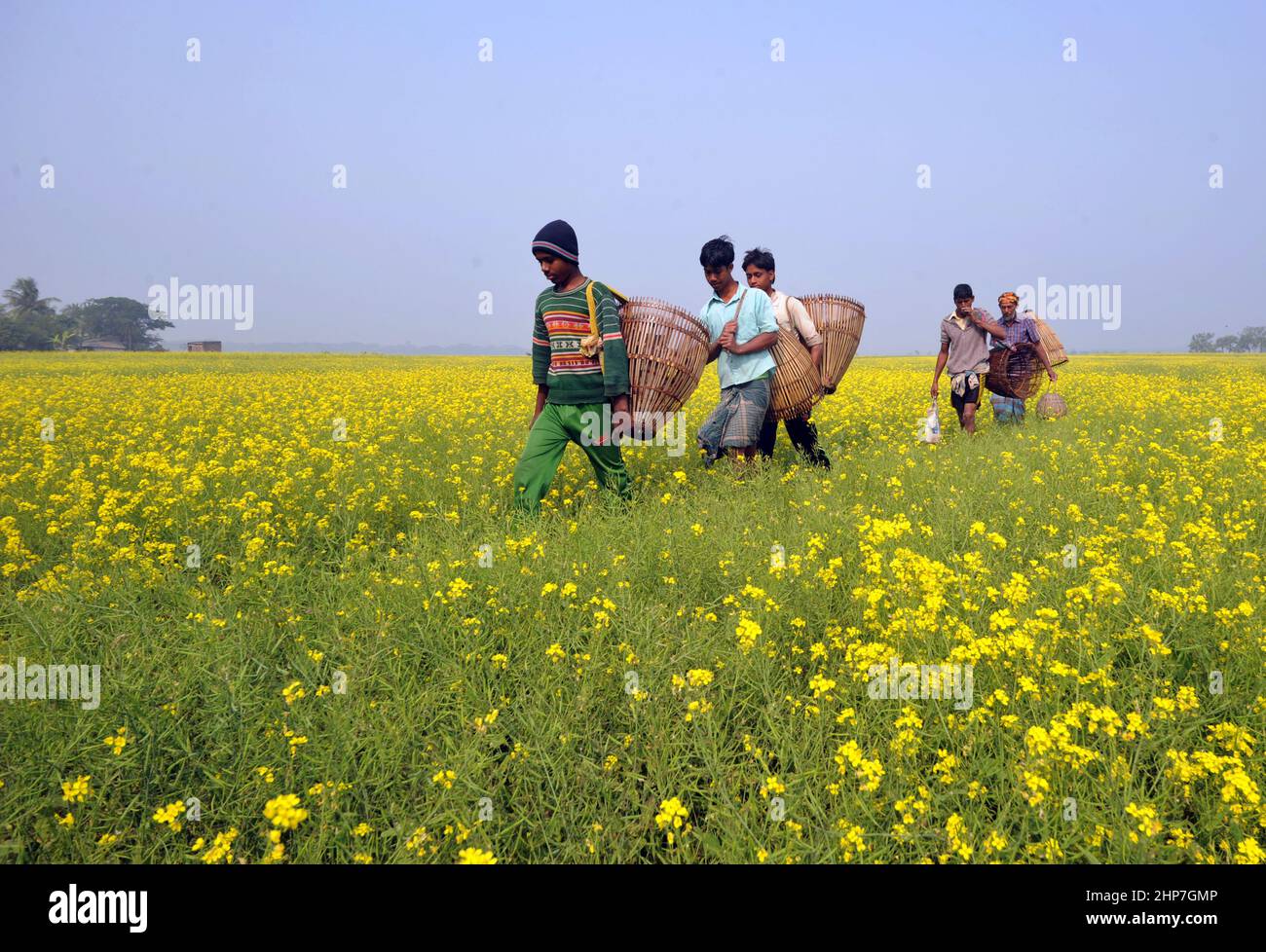 Satkhira, Bangladesh - January 05, 2021: The youths of the village are ...