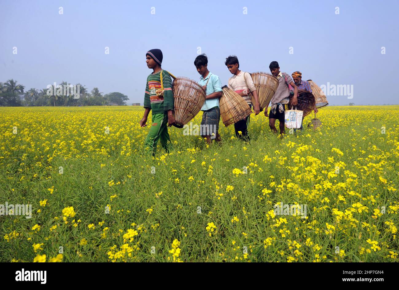 Satkhira, Bangladesh - January 05, 2021: The youths of the village are ...