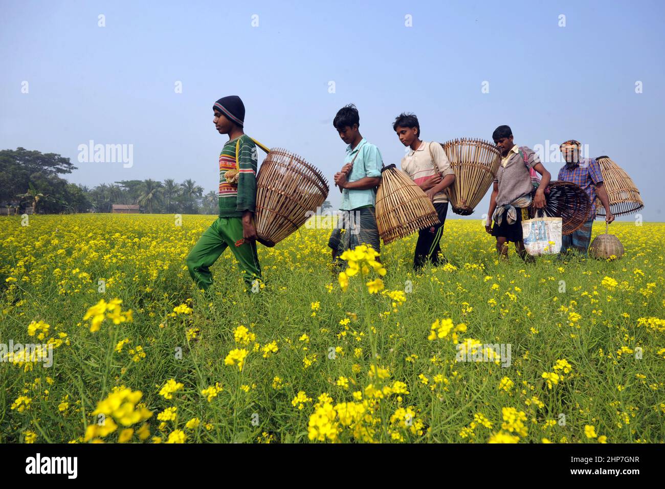 Satkhira, Bangladesh - January 05, 2021: The youths of the village are ...