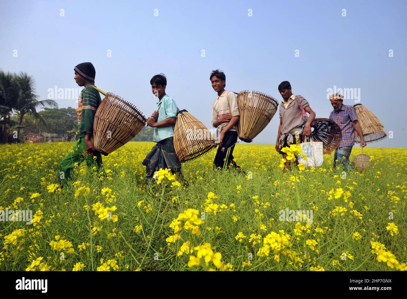 Satkhira, Bangladesh - January 05, 2021: The youths of the village are ...