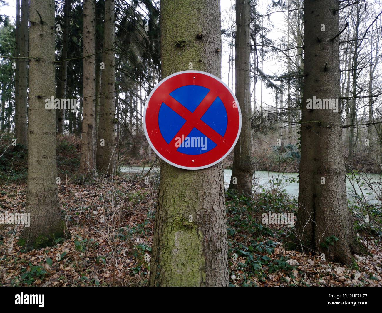 Round red "NO STOPING" sign on the tree in the woods Stock Photo - Alamy
