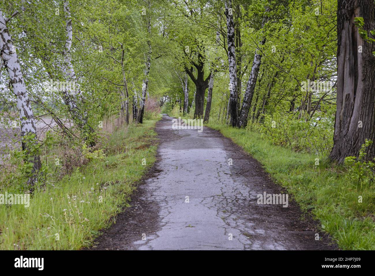 Fish ponds hi-res stock photography and images - Alamy
