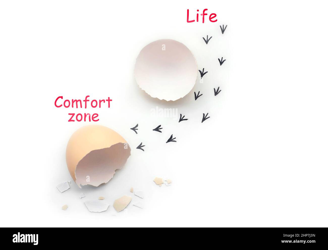 Footprints from an egg shell. First steps of a chick on a white ...