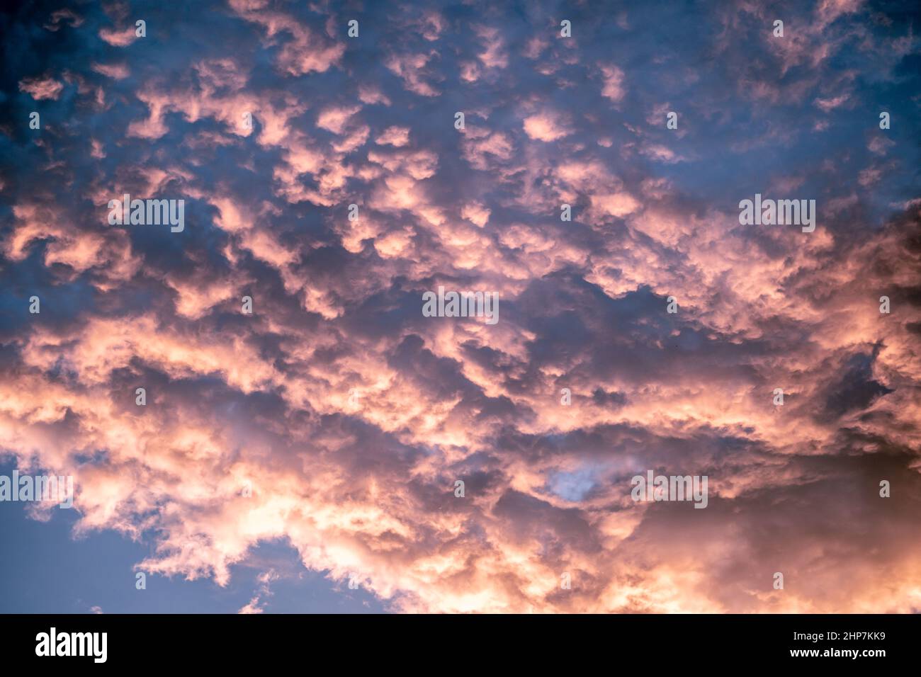 Celestial Abstract real beauty background. Dark purple blue pink bright ...