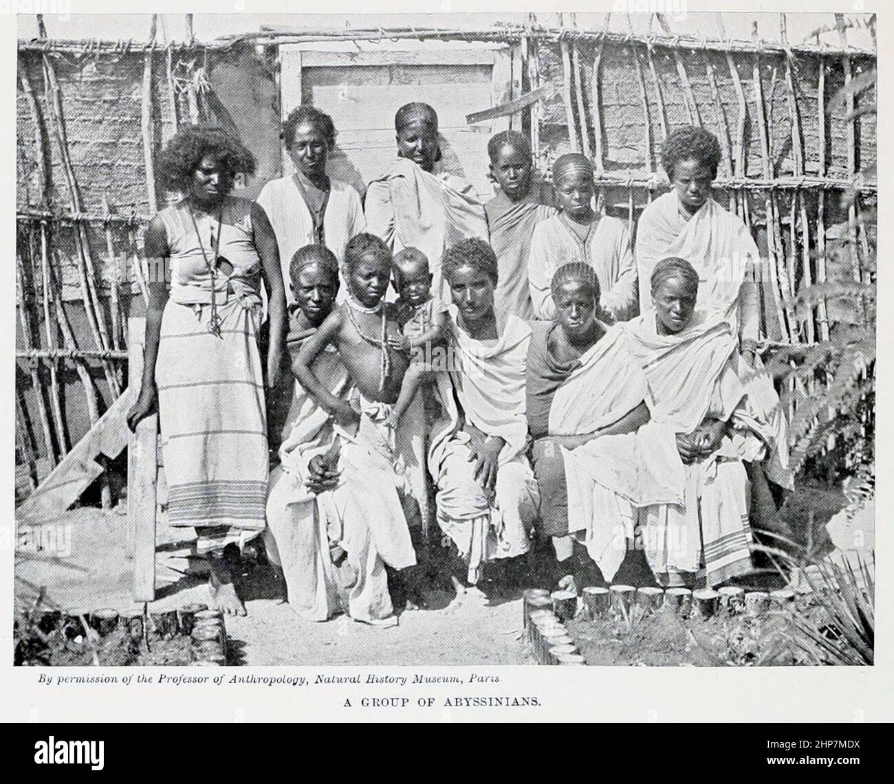 Ethiopian abyssinia abyssinian hi-res stock photography and images - Alamy