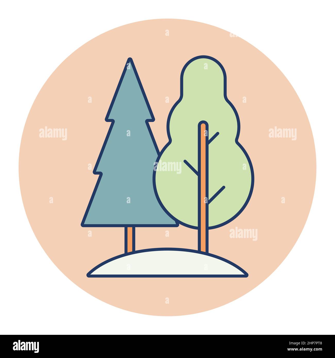 Deciduous and conifer forest vector icon Stock Vector Image & Art - Alamy