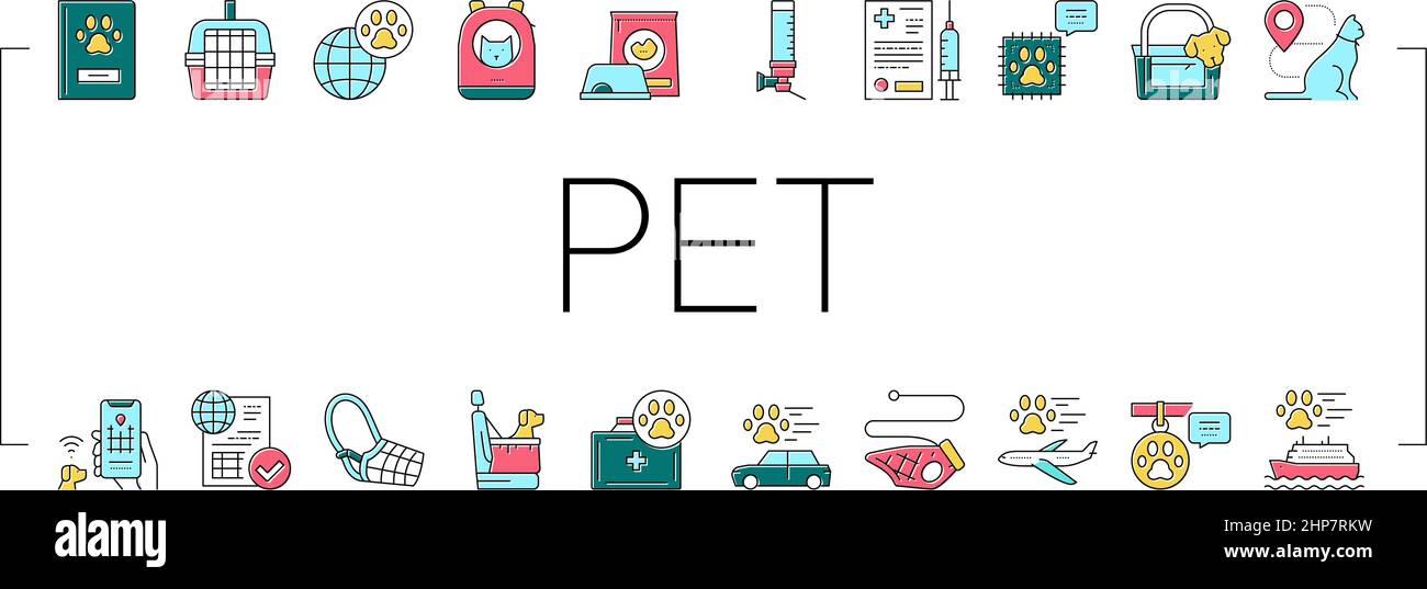 Pet Travel Equipment Collection Icons Set Vector Stock Vector Image ...