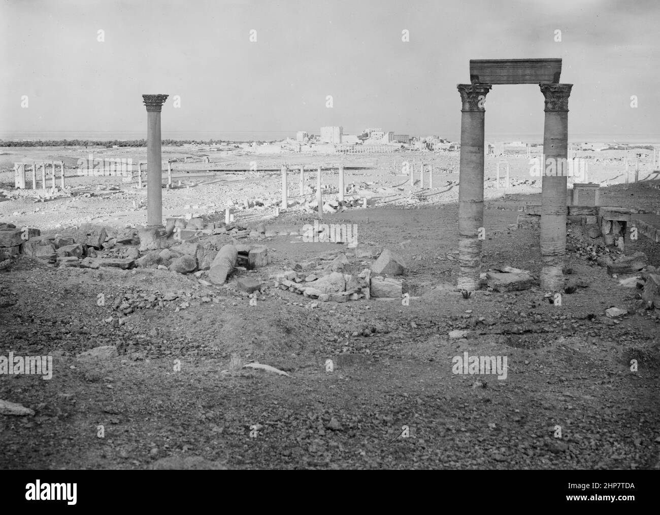Middle East History: Palmyra. Distant view looking down from western ...