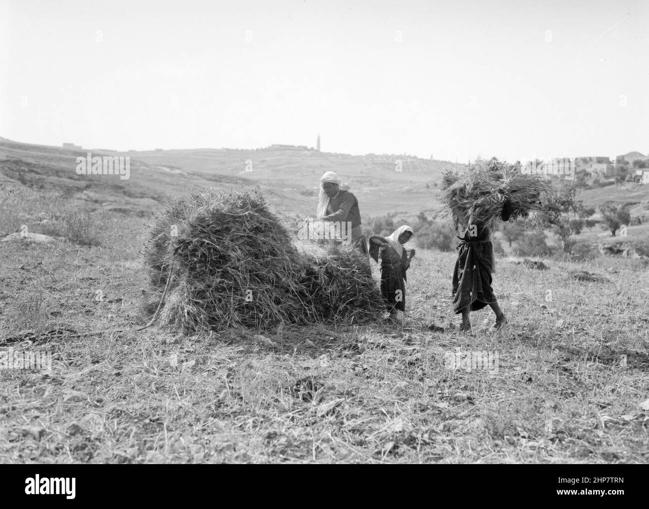 Middle East History: Arab women working in agriculture ca. between 1898 ...