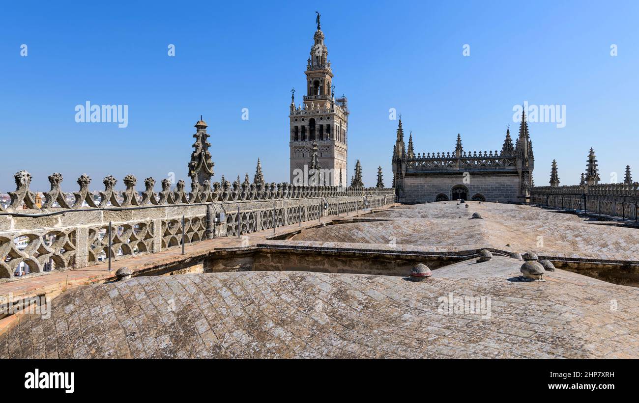 Vaults of the cathedral of seville hi-res stock photography and images ...